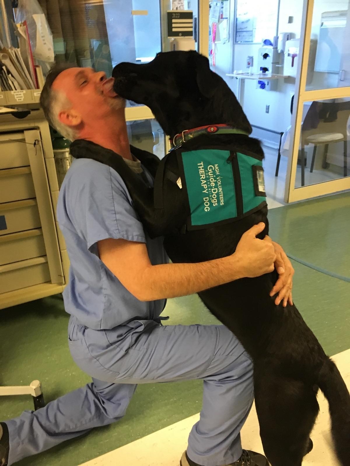 Therapy Dogs at MarinHealth | Greenbrae Hospital Volunteer Services