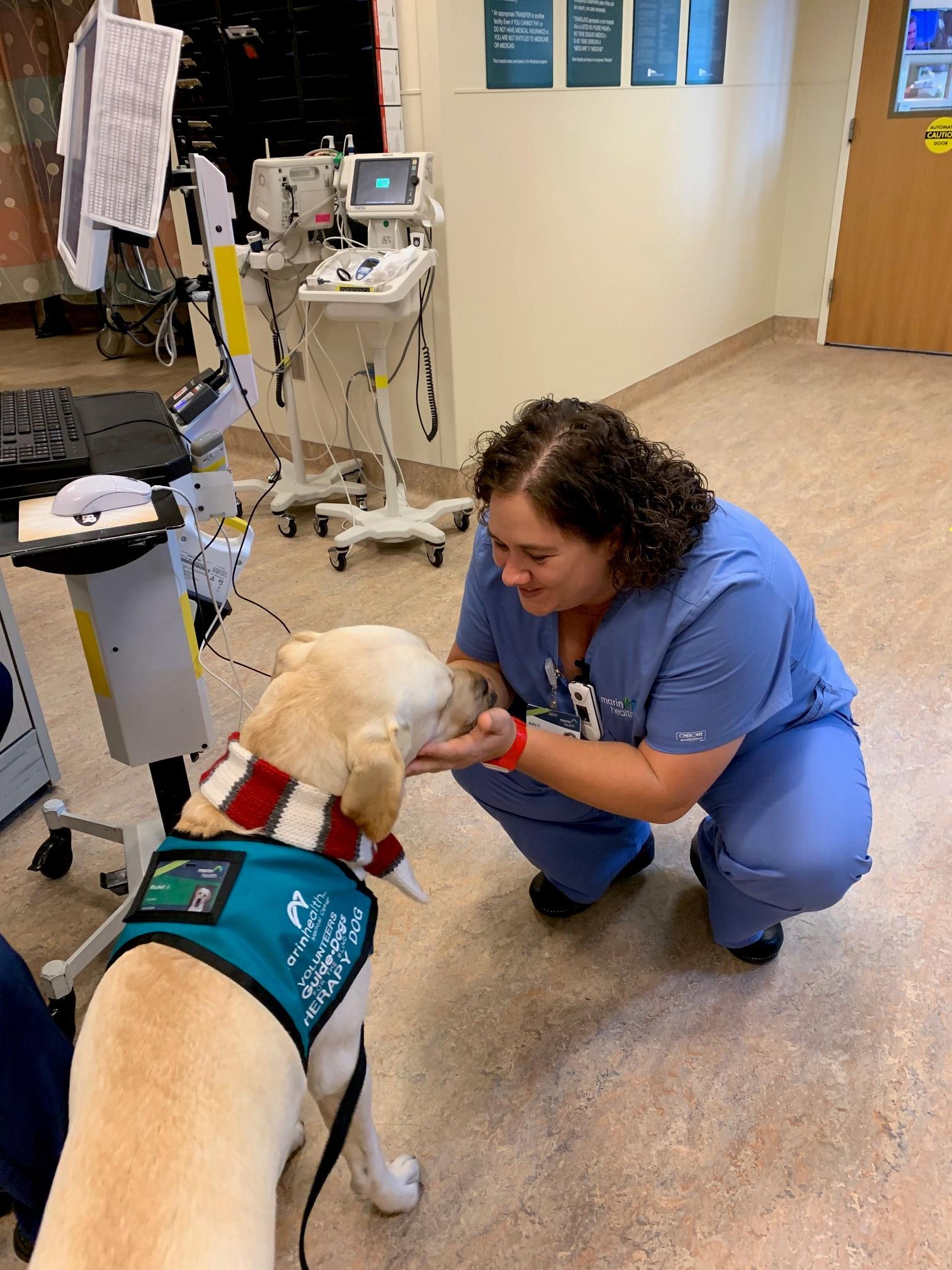 Therapy Dogs at MarinHealth | Greenbrae Hospital Volunteer Services