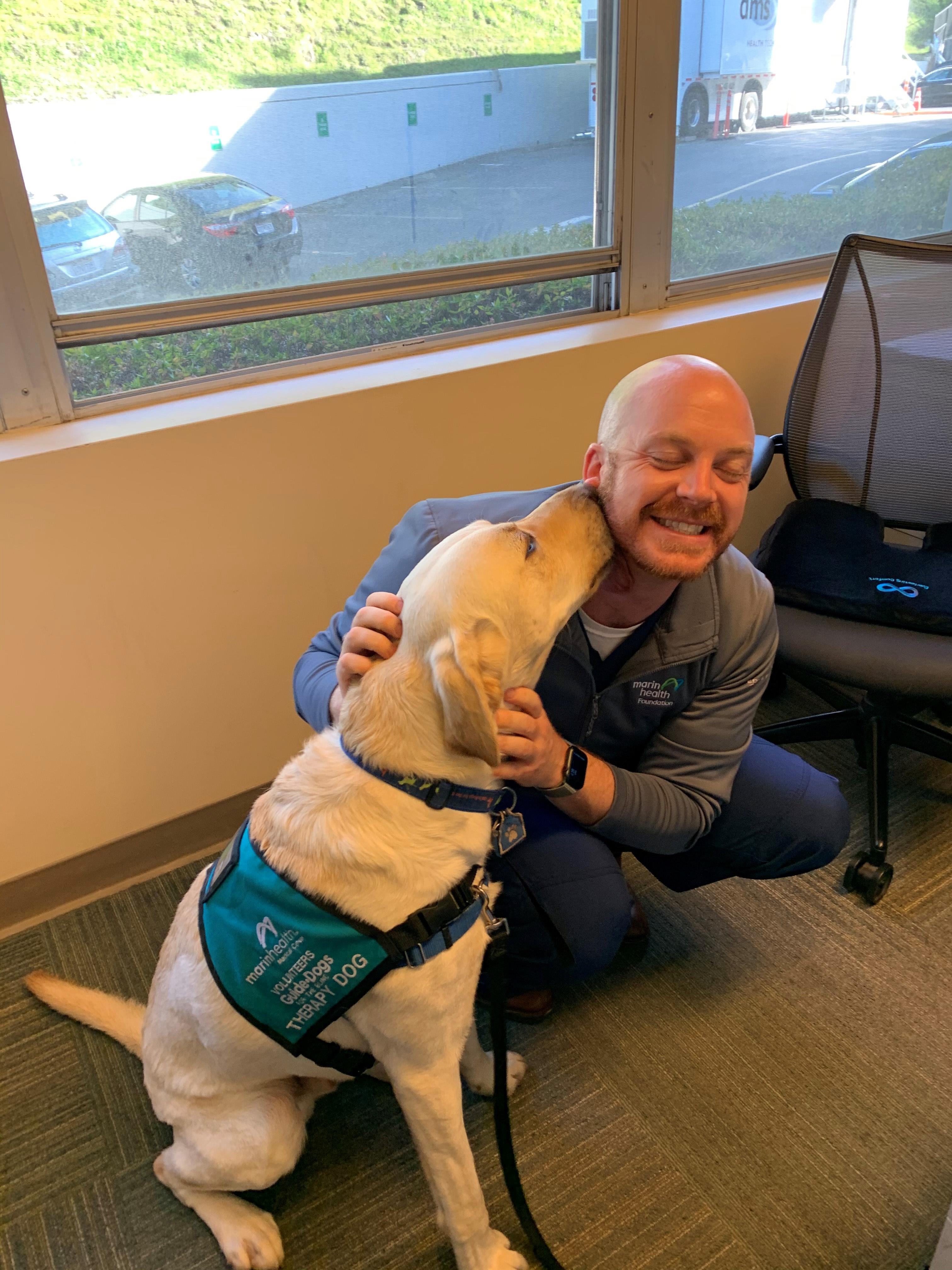 Therapy Dogs at MarinHealth | Greenbrae Hospital Volunteer Services